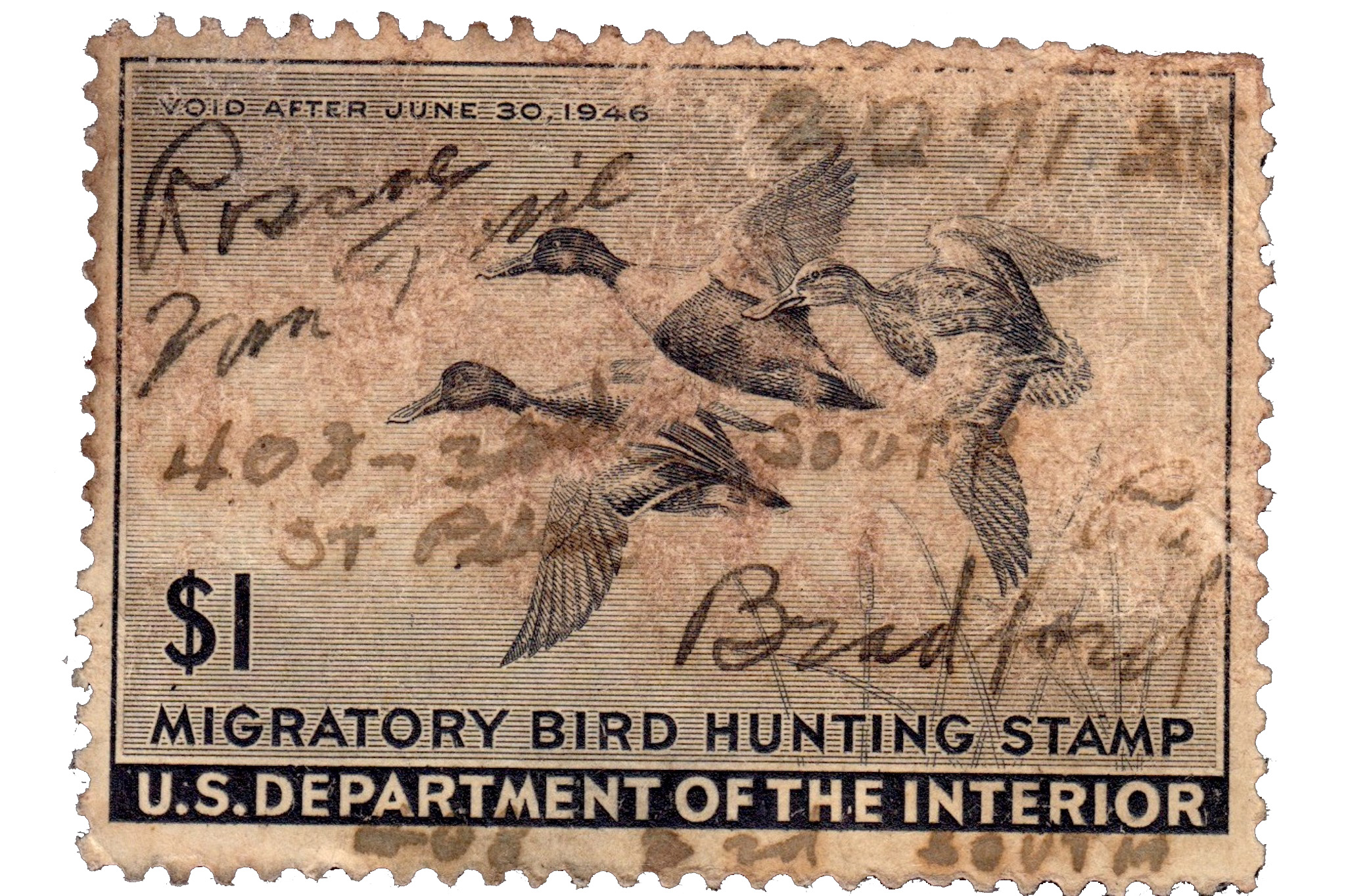 Home - Michael Helms